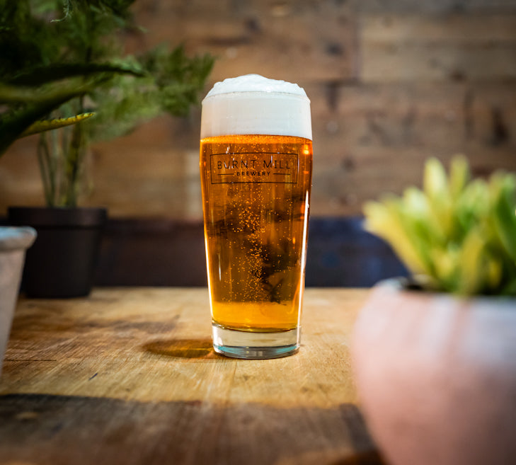 Burnt Mill Brewery -480ml Glass Suffolk Brewery Merch Suffolk Beer