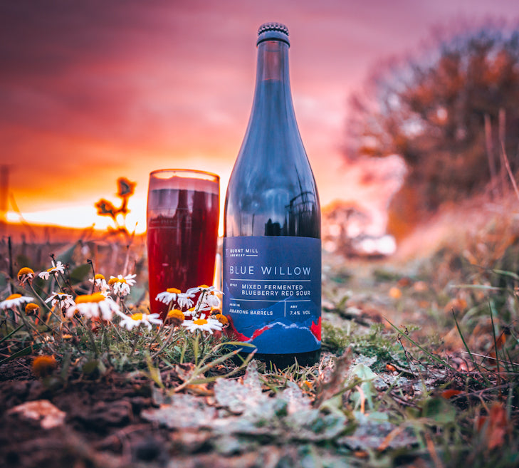 Blue Willow - Barrel Aged Mixed Ferm Saison (Sour) 7.4% Suffolk beer ...